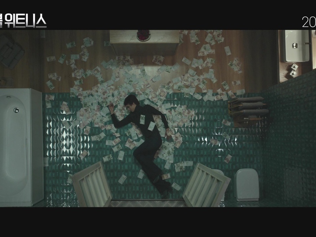 인비저블 위트니스 (The Invisible Witness) 상세정보 | 씨네21